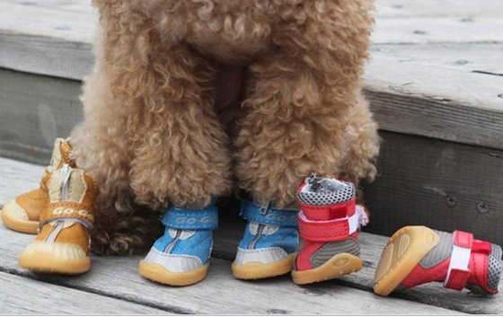 Colorful Eco-Friendly PET S / M / XL Dog Shoes with canvas + PVC