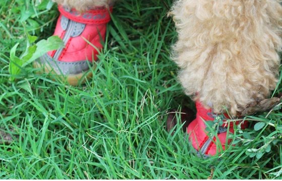 Colorful Eco-Friendly PET S / M / XL Dog Shoes with canvas + PVC