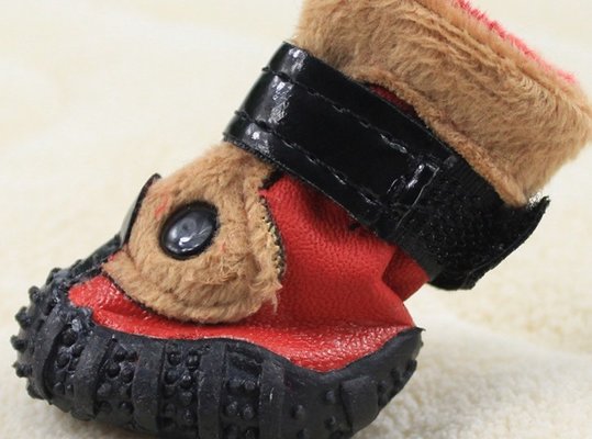 Comfortable Handsome Pet Dog Strap , Sports PET Dog Shoes for Autumn / Winter