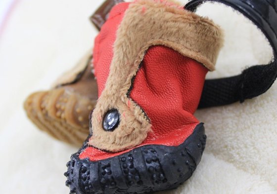 Comfortable Handsome Pet Dog Strap , Sports PET Dog Shoes for Autumn / Winter