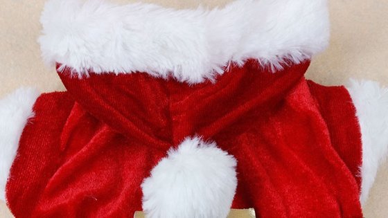 Christmas dog clothes cute Santa pet clothing for small medium dog cat Chihuahua Yorkshire