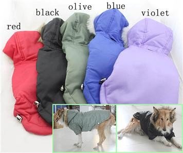 Purple Vizsla Large Breed Dog Clothes
