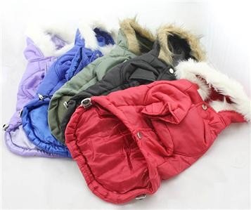 Purple Vizsla Large Breed Dog Clothes Winter Coats and jackets A+ for winter