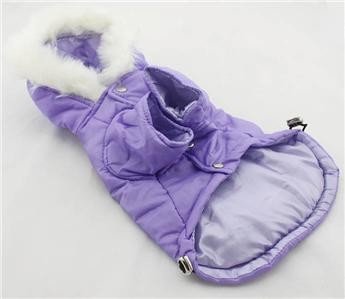 Purple Vizsla Large Breed Dog Clothes
