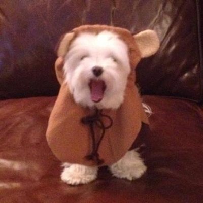 Pet Ewok Dog Costume / Custom Dog Hoodies 100% Polyester , X-Large