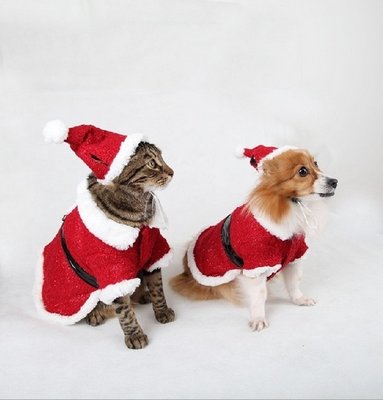 Red Christmas Dog Clothes Winter