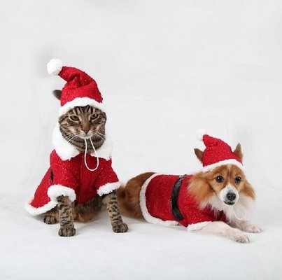 Red Christmas Dog Clothes Winter