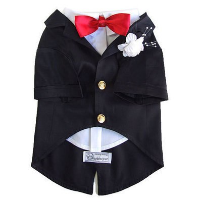 Pomeranian Doggie Tuxedo Costume X M XL dog clothes for small dogs