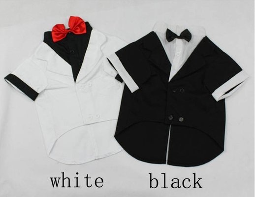 White TUXEDO big dog wedding / party suit bridegroom wear pets formal clothes