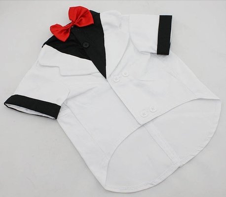White TUXEDO big dog wedding / party suit bridegroom wear pets formal clothes
