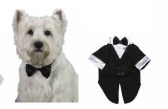 XX-Small Wedding Doggie Tuxedo Costume For Small Dogs Formal Wear Comfortable