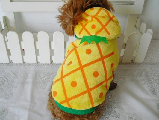 5XL , 6XL , 7XL Dog cotton Hooded Sweatshirts / pet puppy sweatshirts