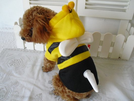 Lightweight Small And Medium Dog Apparel Cute Hooded Sweatshirts Comfortable
