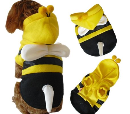 Lightweight Small And Medium Dog Apparel Cute Hooded Sweatshirts Comfortable