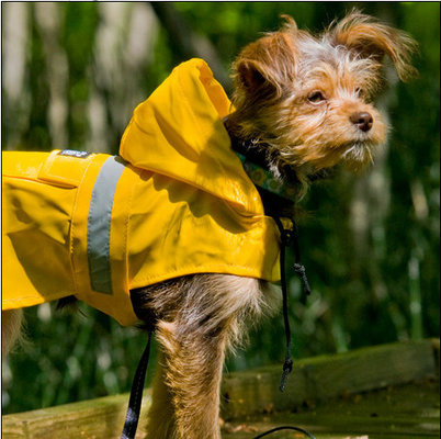 Bullmastiff Nylon Seattle Slicker Dog Raincoat Yellow color for large dogs