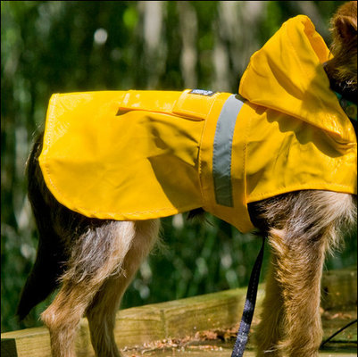 Bullmastiff Nylon Seattle Slicker Dog Raincoat Yellow color for large dogs