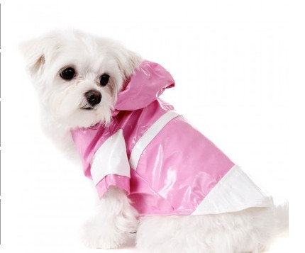 Durable Pekingese , Minature Schnauzer dog raincoat PU material M size clothes
