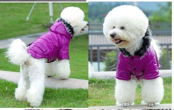 Akita Alaskan Malamute Personalized Dog Clothes , Poodle Clothing For Winter Coats