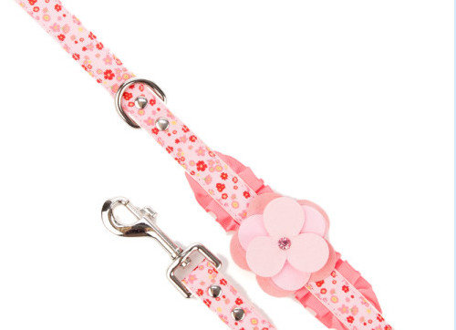 Personalized dog collar and Martha Stewart Pets Pink Floral Ruffle Leash for Girl