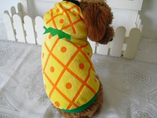 5XL , 6XL , 7XL Dog cotton Hooded Sweatshirts / pet puppy sweatshirts