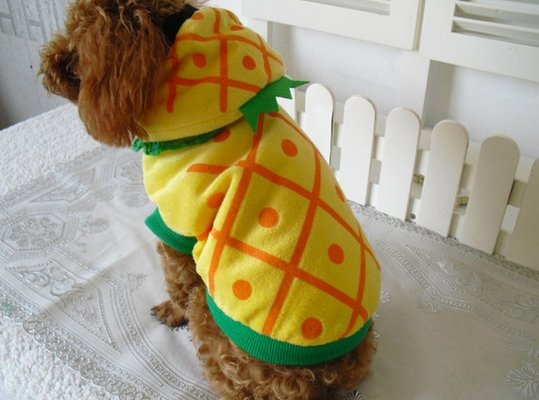 5XL , 6XL , 7XL Dog cotton Hooded Sweatshirts / pet puppy sweatshirts