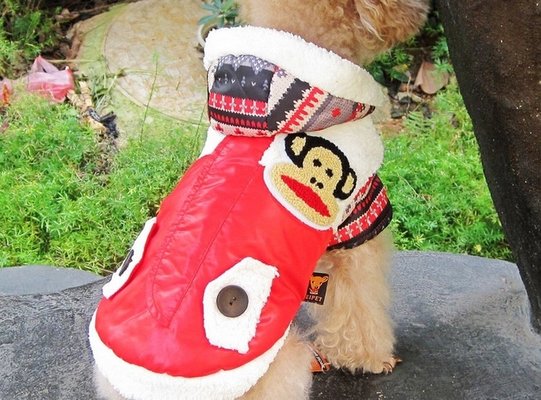 Autumn / Winter Dog Hooded Sweatshirts