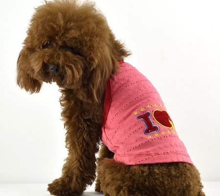 Medium XXS Dog Clothes