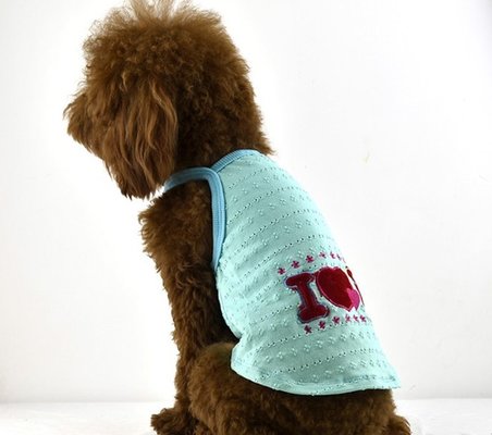 Medium XXS Dog Clothes