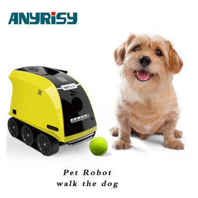 Wide - angle camera View 600ML Granary Capacity Pet Feeder, Smart Pet Robot Toy