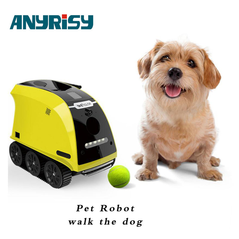 Wide - angle camera View 600ML Granary Capacity Pet Feeder, Smart Pet Robot Toy