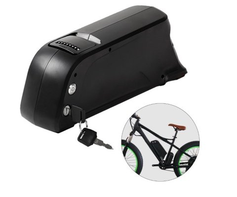 Low lnternal Resistance 24V20Ah e bike batteries Dolphin High Power Performance