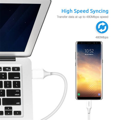 PISEN 1m 3.3ft 1.5m 4.9ft Double Sides Workable Mobile Phone Fast Charging USB Type-C 2A Data Cable