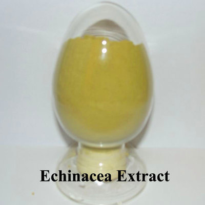 Herb Medicine 100% Natural echinacea purpurea extract in bulk with Cichoric Acid 1%, 2%, 3%, 4%; Polyphenols