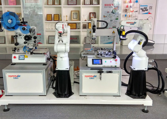 Six Axis Industrial Robot Automation Packing-line Solution For Stacking