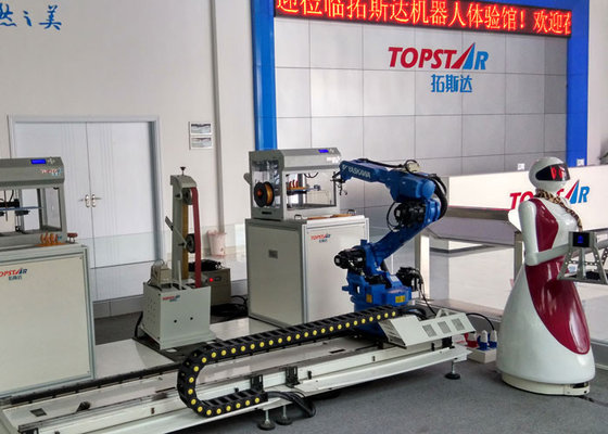 Industrial Multi Axis Robot 6 DOF Products Stacking Articulated Robots
