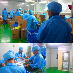 Dongguan Weijun Toys Co., Ltd. linea di produzione in fabbrica