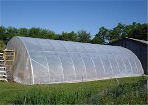 Clear Plastic Sheet Roll Anti Fog / Mulch Jumbo Rolling Plastic Cover For Greenhouse