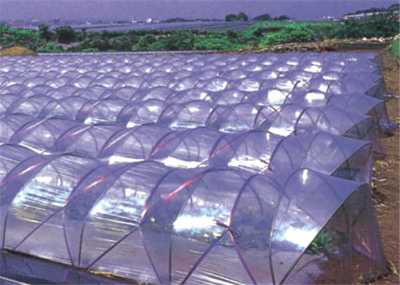 Length Customized Polycarbonate Greenhouse Sheets Blow Molding Fruit Tree Cover