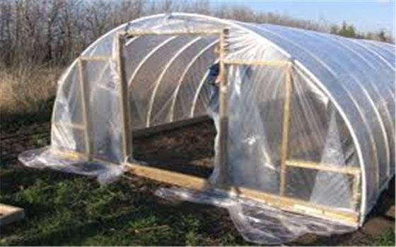 Moisture Proof Plastic Greenhouse Film Rain Protection , 0.06mm-0.14mm Thickness