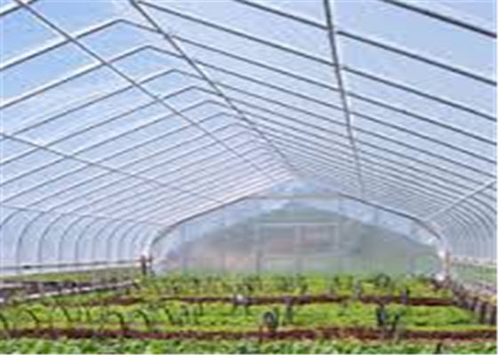 Large Greenhouse Poly Film , Single Layer Plastic Greenhouse Cover For Plant