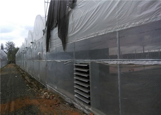 Soft Hardness Transparent Plastic Sheet Roll Waterproof For Greenhouse