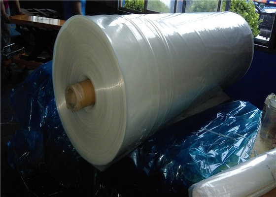 Soft Hardness Transparent Plastic Sheet Roll Waterproof For Greenhouse