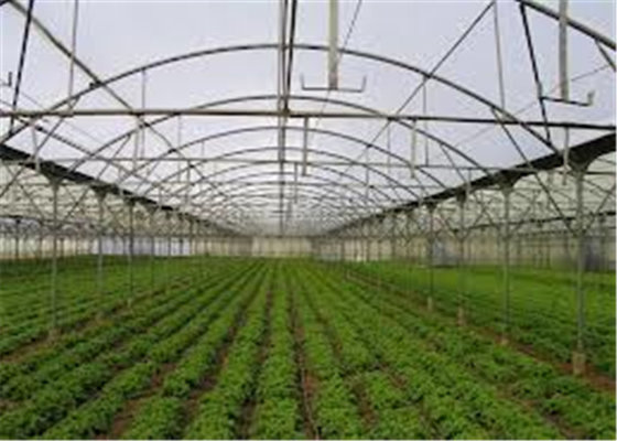 Anti Virus Plastic Greenhouse Film , Greenhouse Polycarbonate Rolls With Impact Resistance