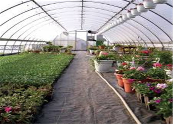 Anti Virus Plastic Greenhouse Film , Greenhouse Polycarbonate Rolls With Impact Resistance