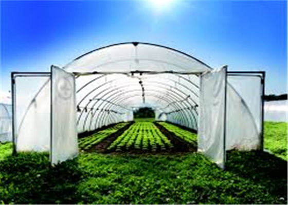 Hail Resistant Plastic Greenhouse Film For Fruit Tree Covers , Product Exhibition