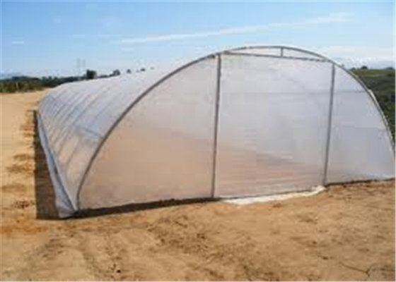 Transparent Clear Plastic Greenhouse Film Durable High Tunnel Applications