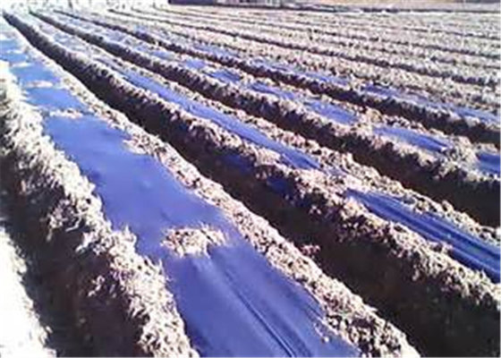 Length Customized Polycarbonate Greenhouse Sheets Blow Molding Fruit Tree Cover