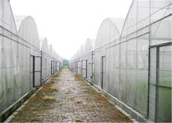 PE Plastic Greenhouse Film White Transparent Anti - Mildew Inhibits Insect Propagation