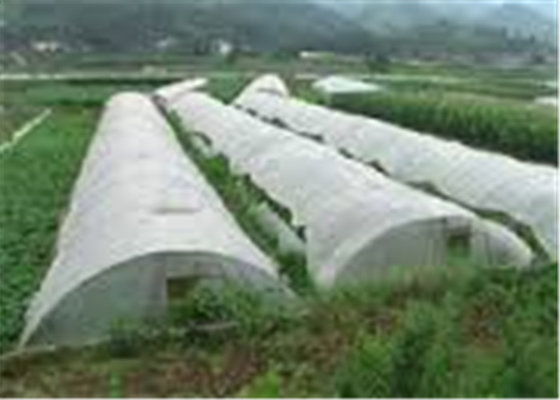 Large Greenhouse Poly Film , Single Layer Plastic Greenhouse Cover For Plant