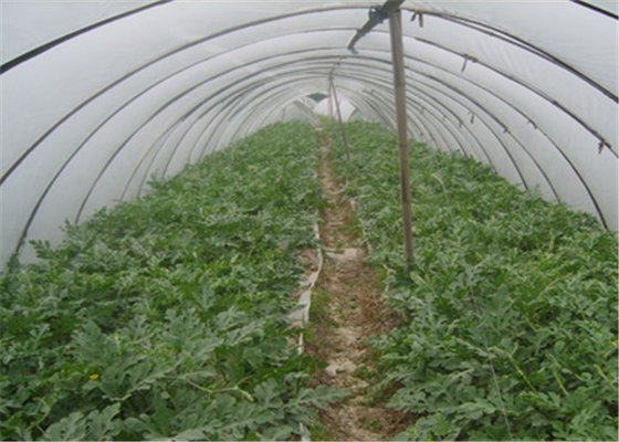 Mulch Jumbo Rolling Plastic Greenhouse Film With High Impact Resistance
